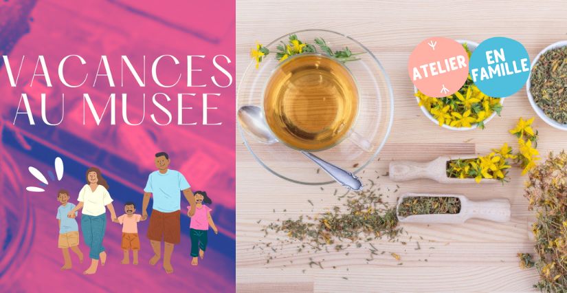 Atelier créatif en famille : Le petit herboriste au Musée du Bugey ...